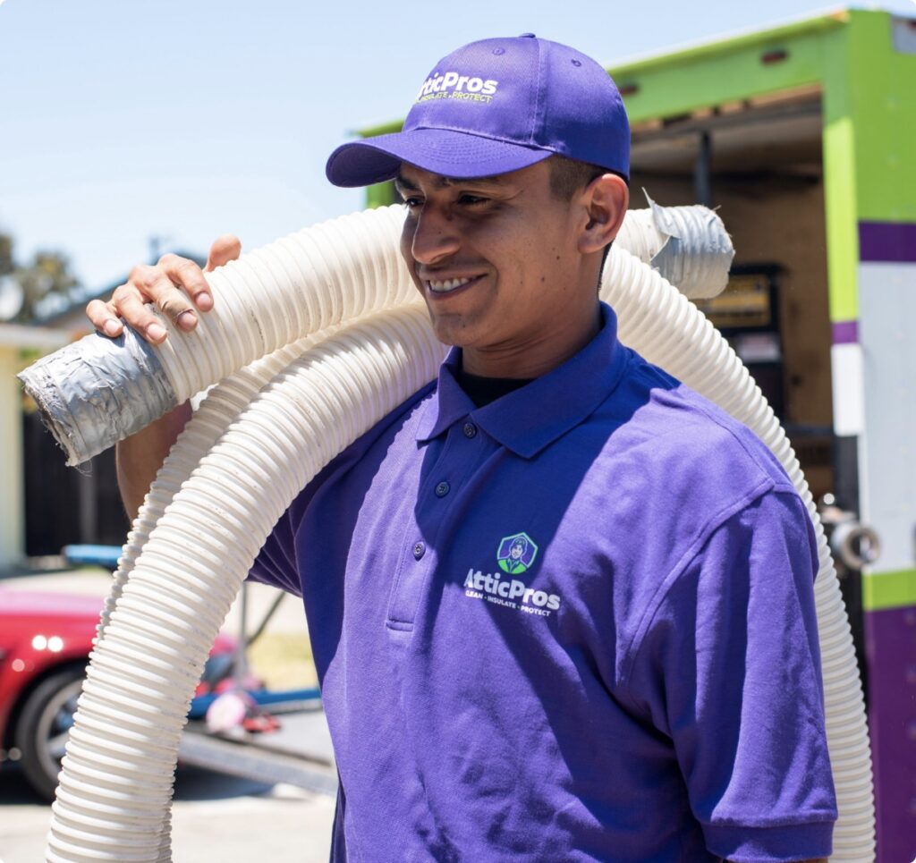 Rat and Mice Pest Control Services in Bay Area - Attic Pros