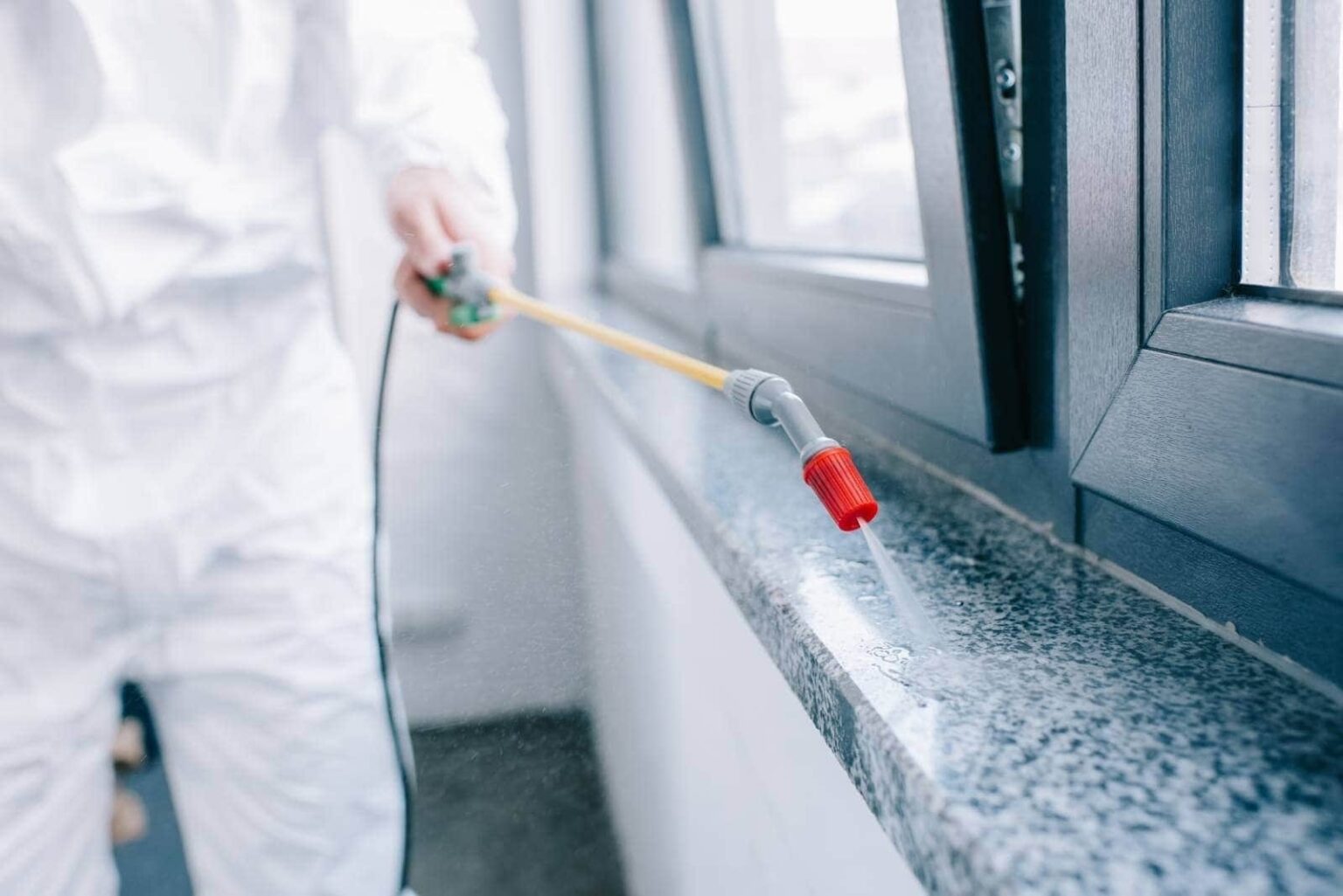 Preventing Summer Pests: How to Manage Standing Water and Entry Points ...