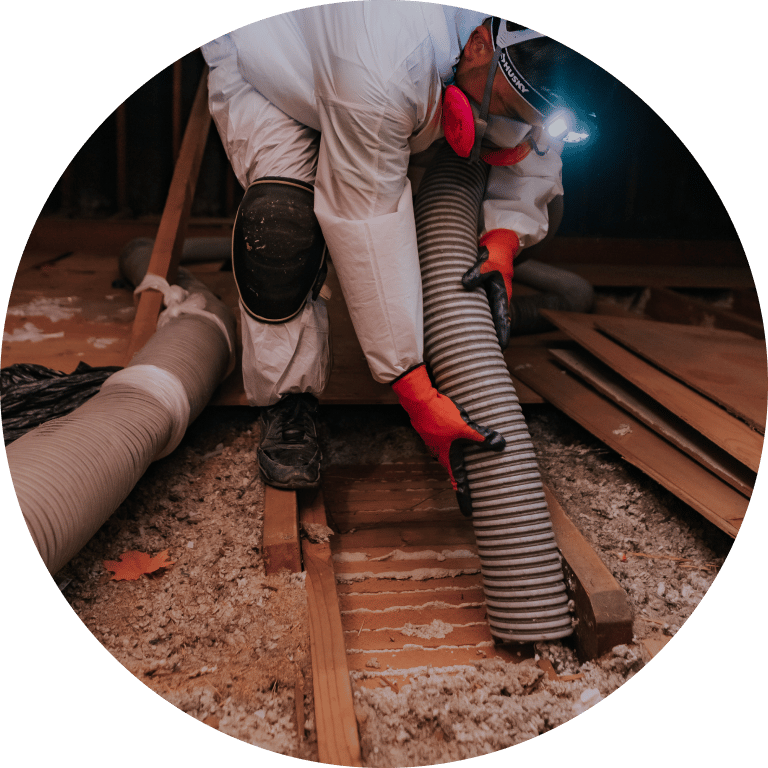 AtticPros: Comprehensive Attic Cleanup and Restoration Services - Attic ...